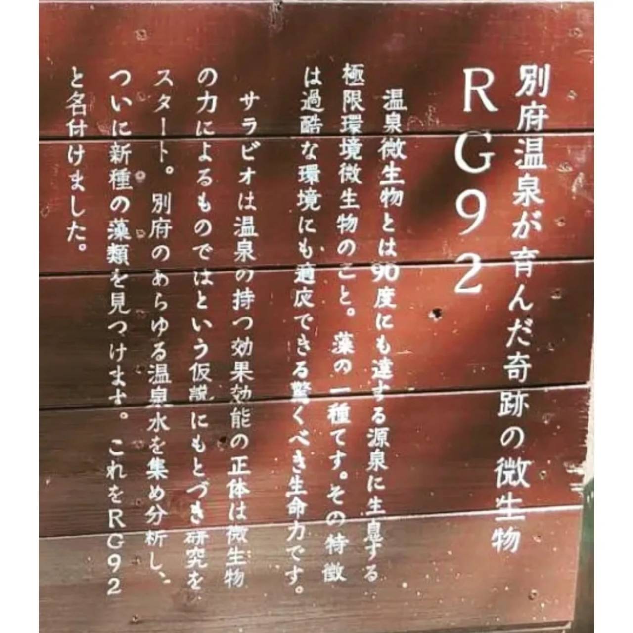 大分県別府市の温泉から発見されたRG92（温泉藻）配合の商品販売中♨️ 福岡市東区香住ケ丘 ONE＋BEAUTY | ブログ | 福岡の美容 ...